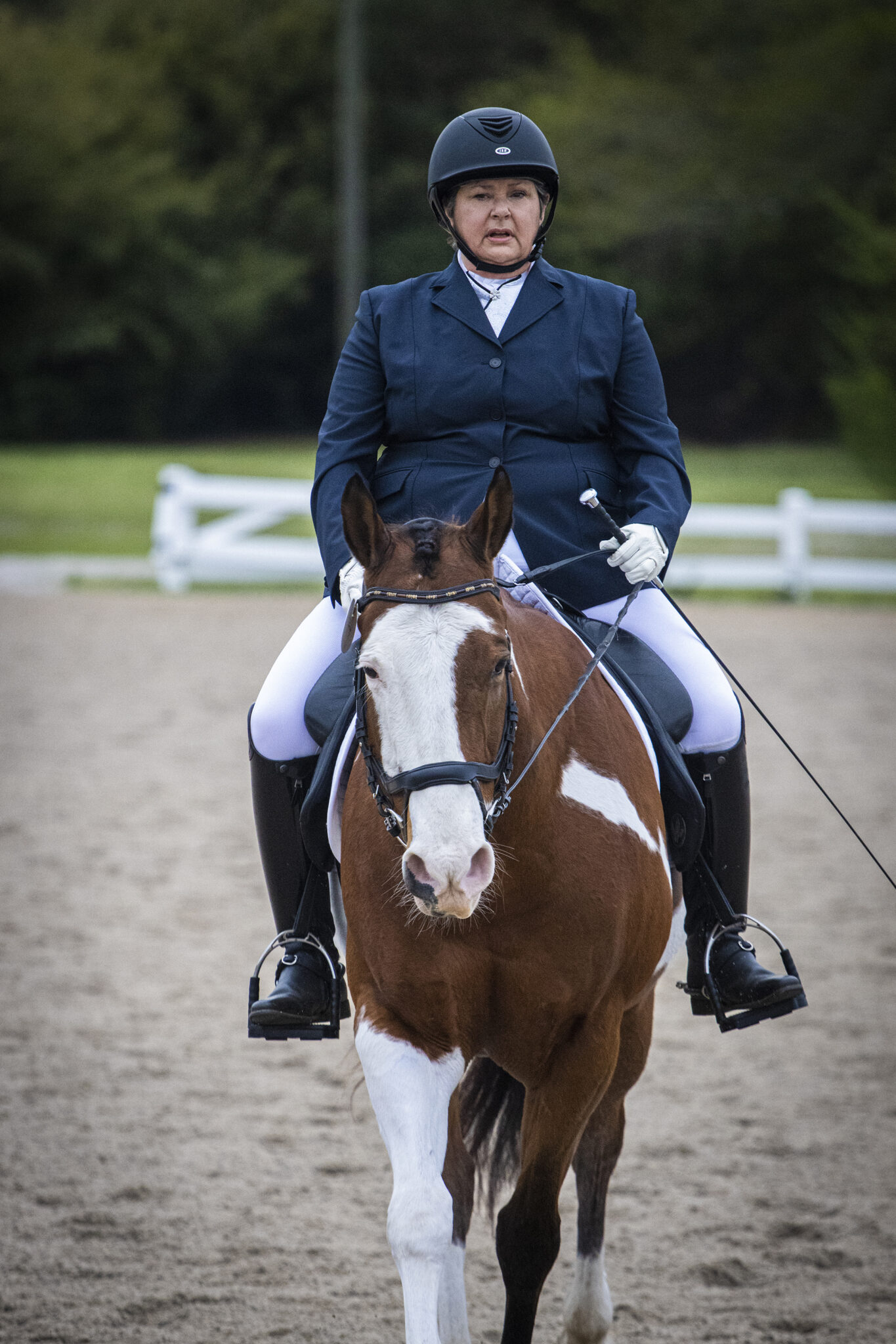 Standings Recognized Dressage Southern Eventing And Dressage Standings Recognized Dressage Southern Eventing And Dressage