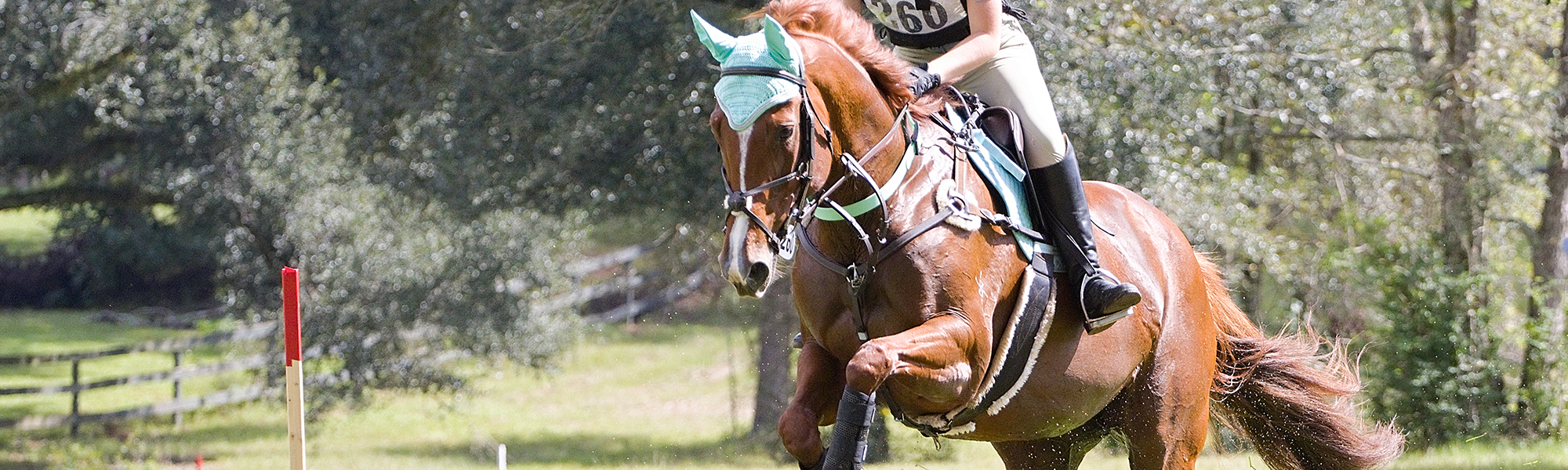 Home « Southern Eventing and Dressage Association – SEDA